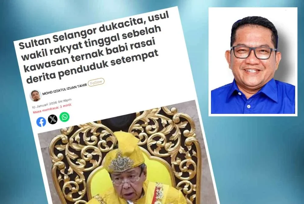 Isu ternakan babi: Kenapa sekarang mahu teruskan? - Sinar Harian