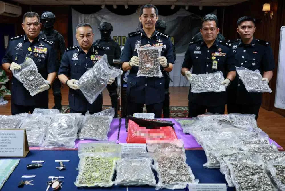 Dua beradik jadikan rumah stor dadah, ganja RM1.76 juta dirampas - Newswav